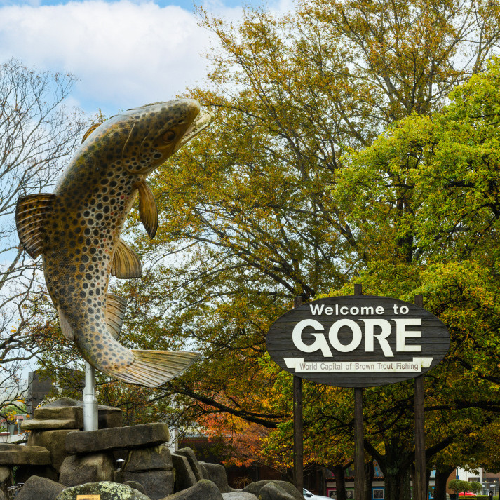 About | Gore Health Ltd | Gore Medical Services